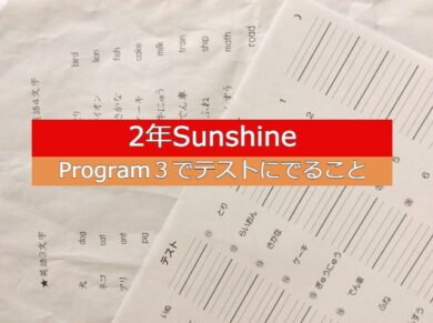 【中2Sunshine】Program3で定期テストに出題されること | 一之江の学習塾 東都ゼミナール｜中学・高校・大学受験対策